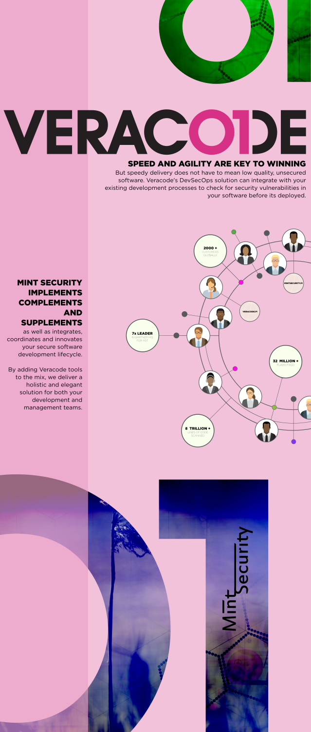 Mint Security Veracode