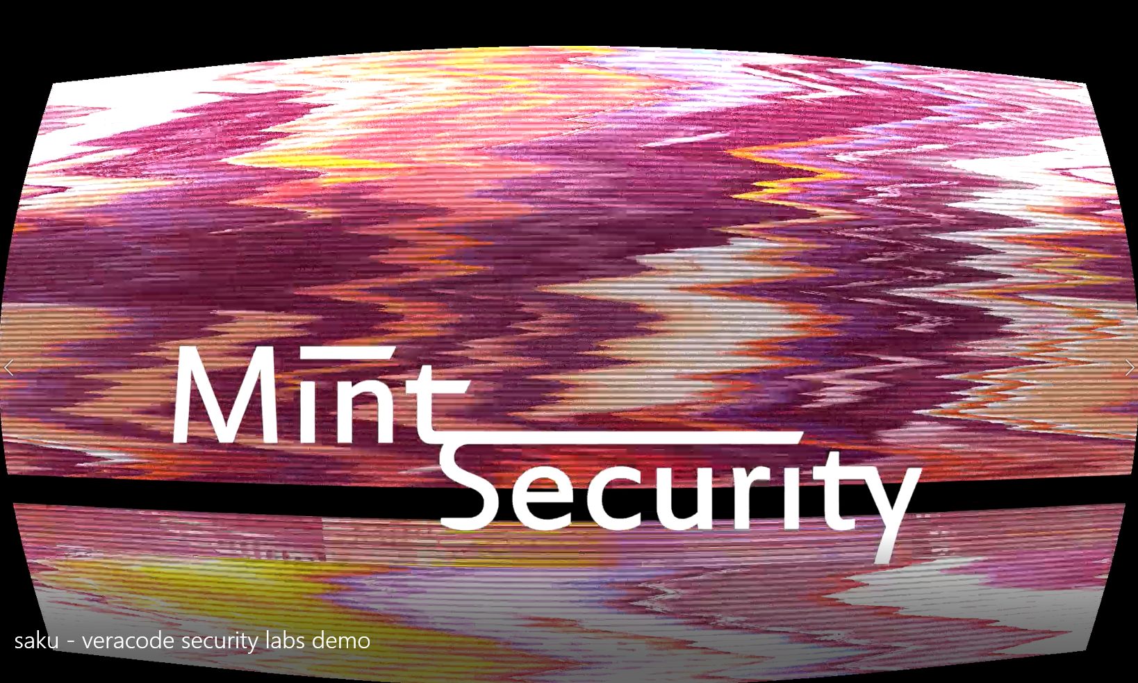 Mint Security - Veracode Security Labs Demo - Blogit