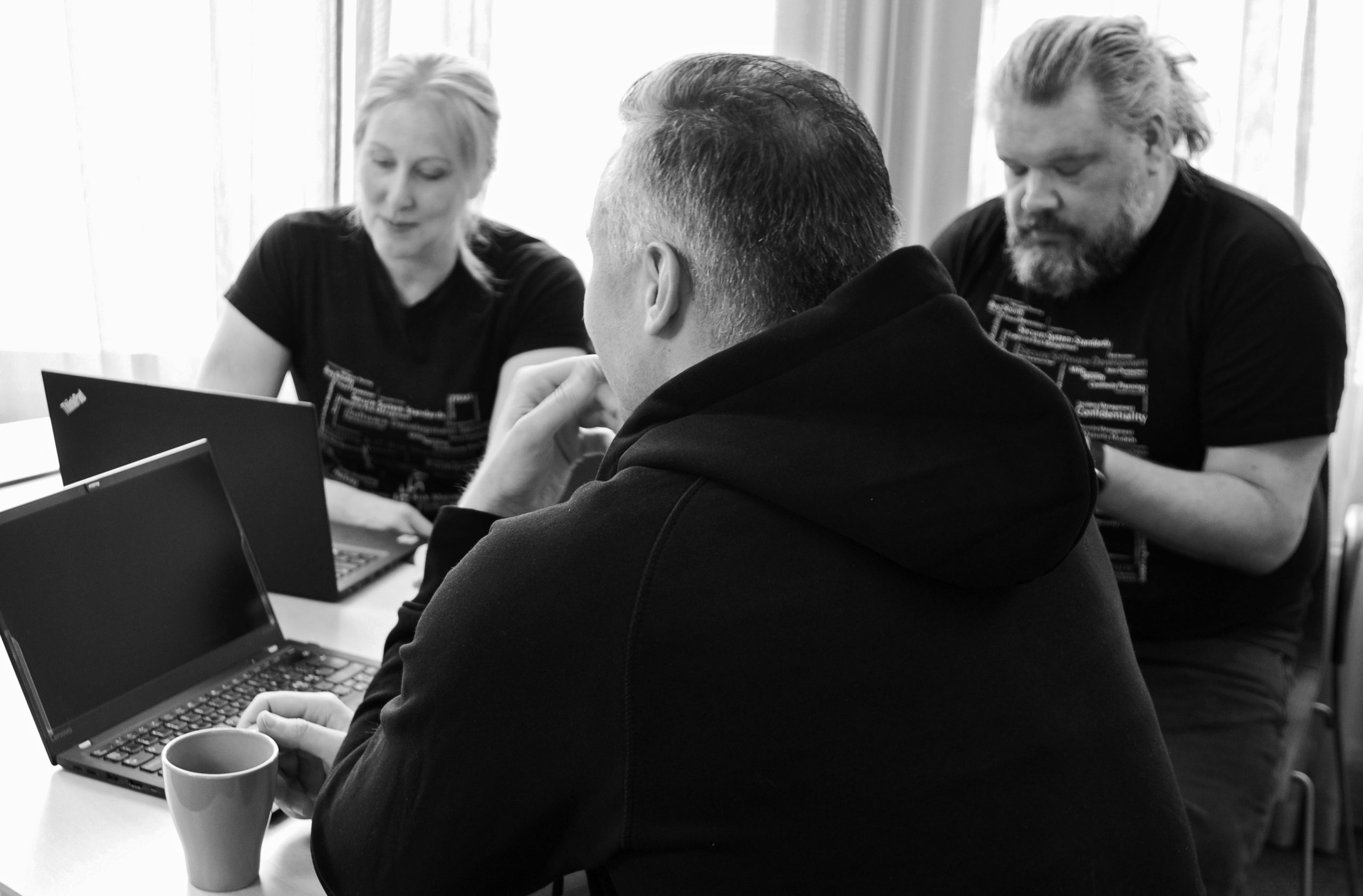 Mint Security - OWASP ASVS L2 assessment