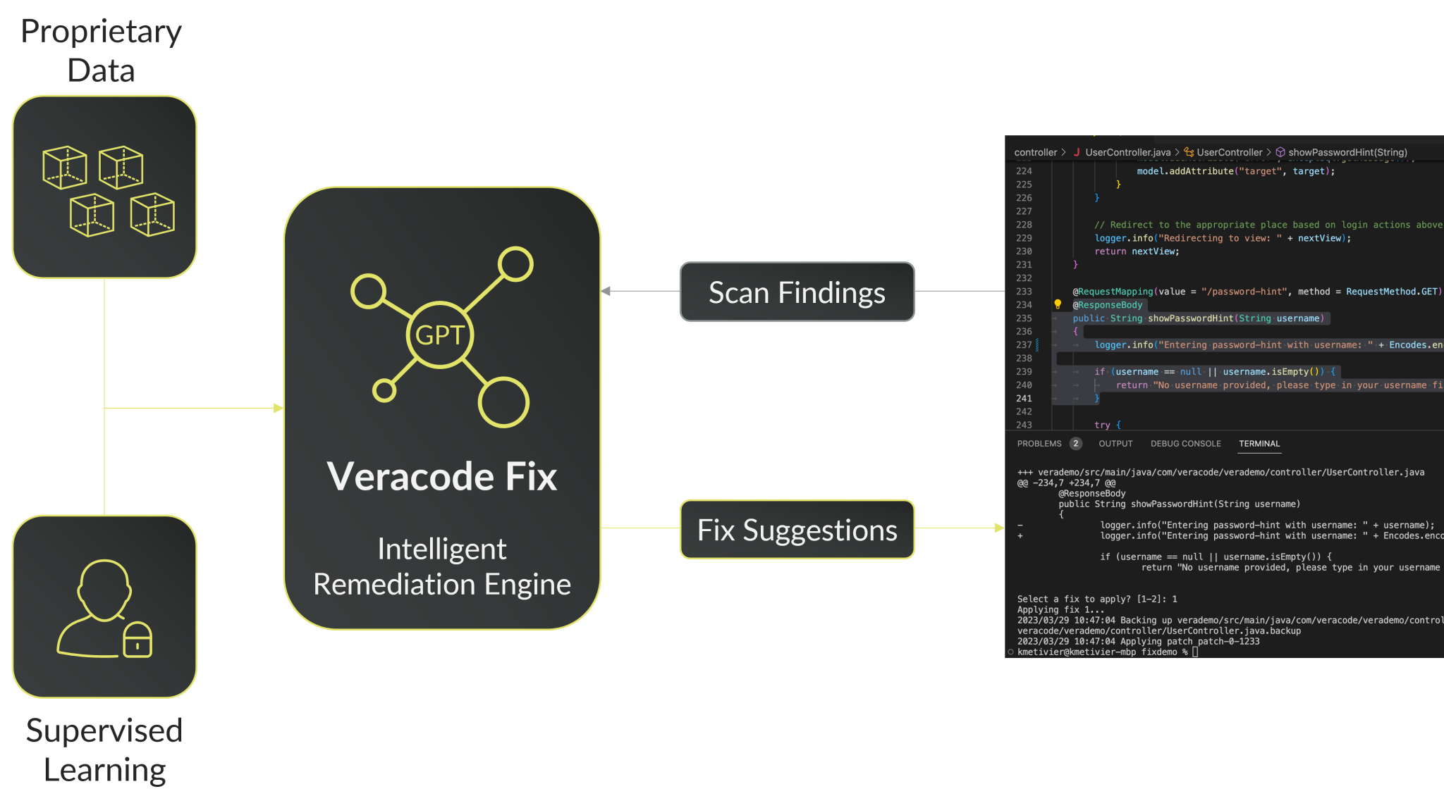 Mint Security - Veracode